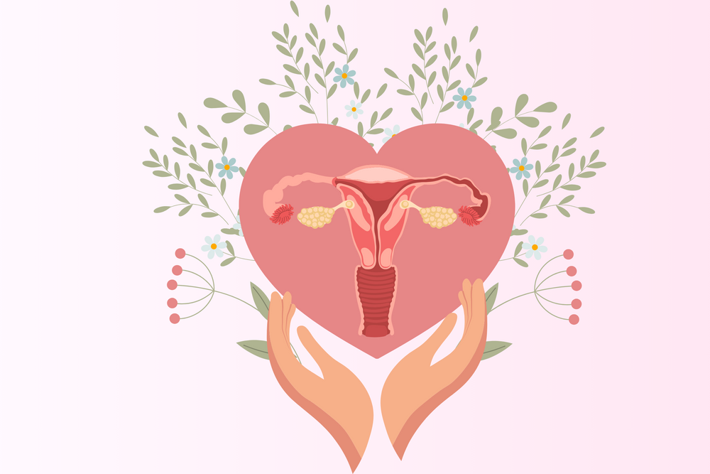 LOVHER - Bien-être intime, menstruel et hormonal pour femmes